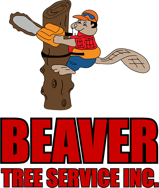 Free Tree Estimate - Beaver Tree Service
